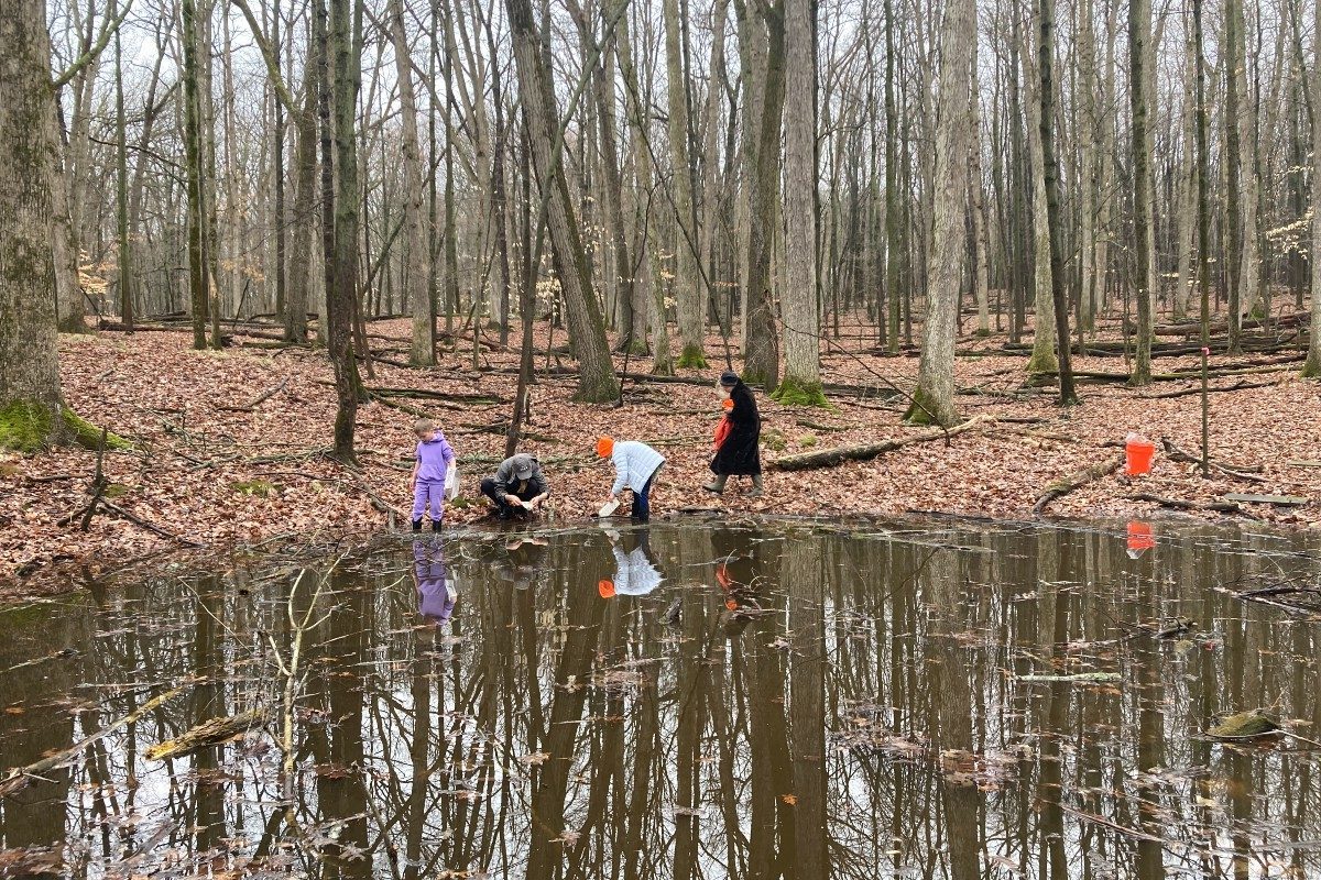 Vernal pools hold hundreds of creatures. But how many exist in Michigan ...