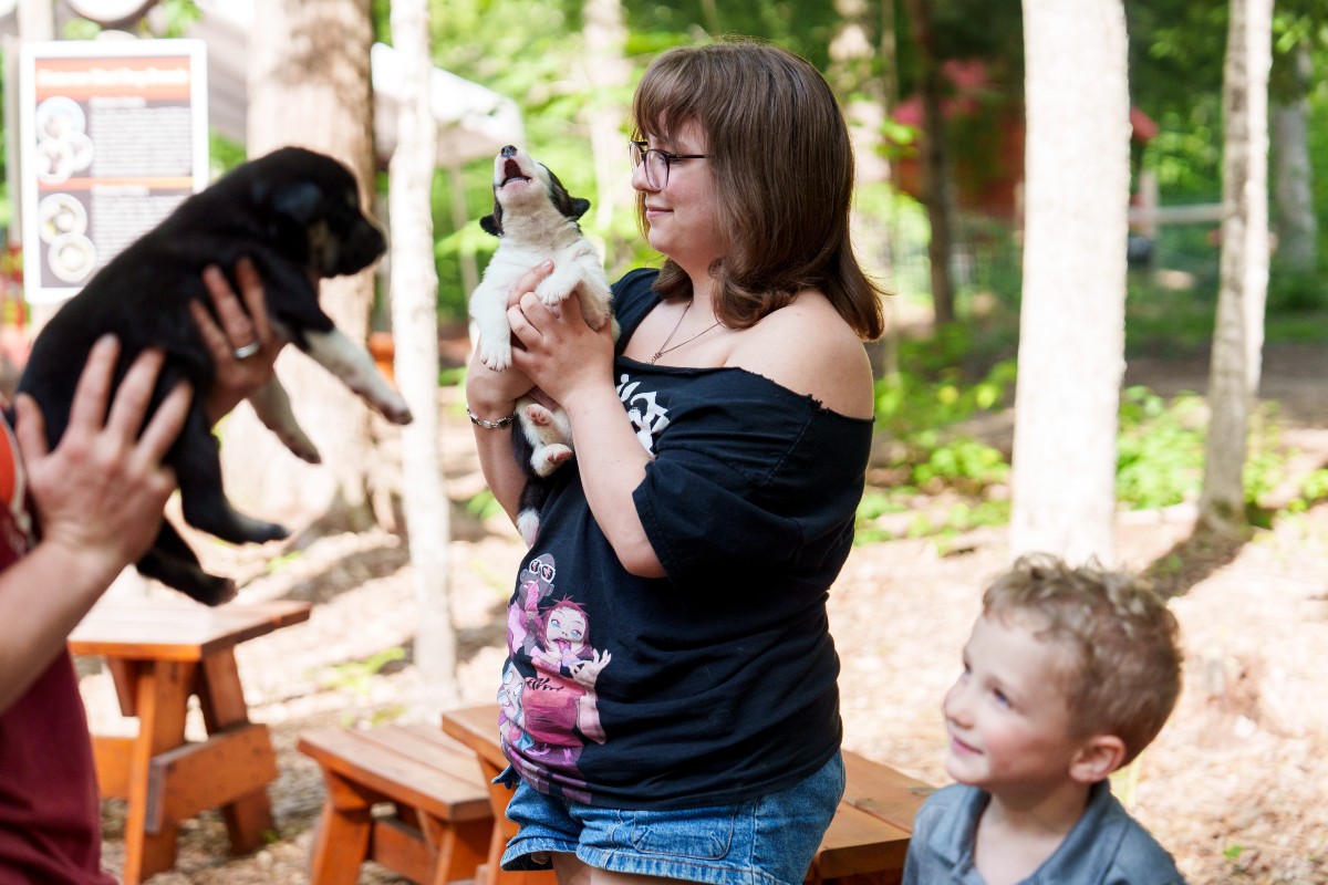 Michigan Dreaming Bucket List: Chill with sled dogs in the heat of ...