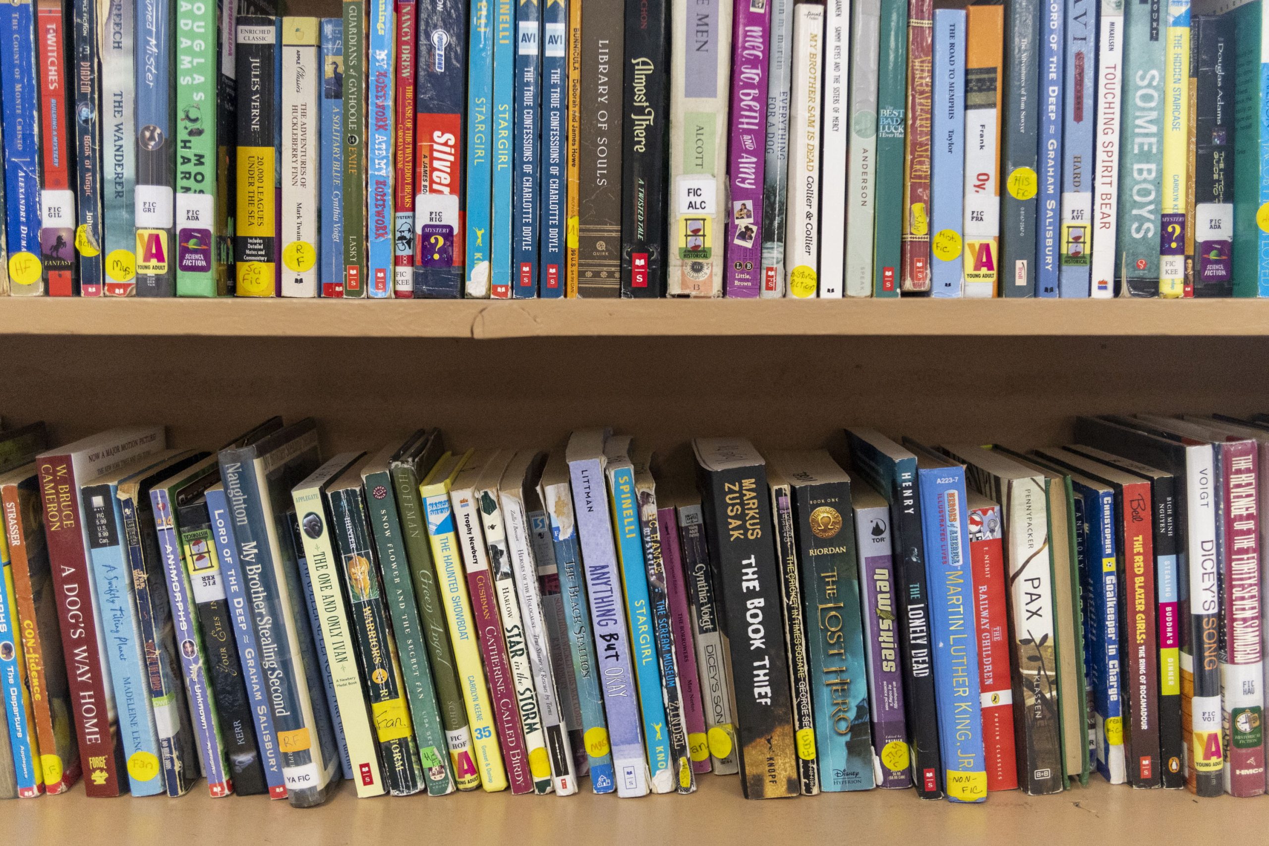 New fight for Michigan libraries: Keeping AI-generated books off ...