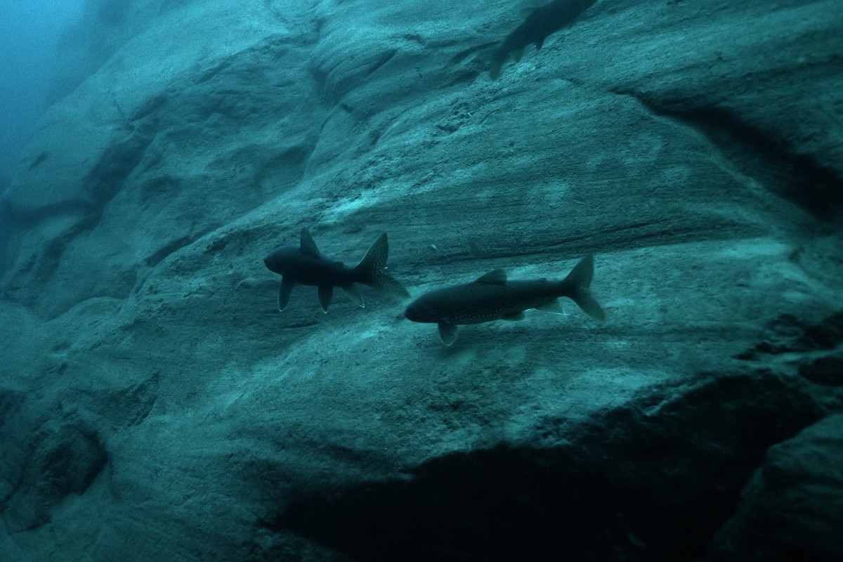 Swimming drone explores underwater mountain in Lake Superior - Bridge ...