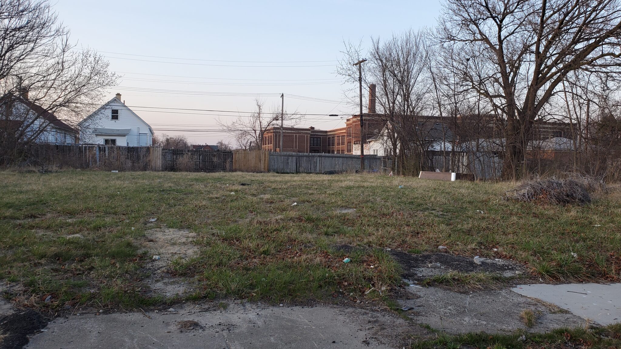 Detroit's vacant lots have surprising upside: boosting bird diversity ...