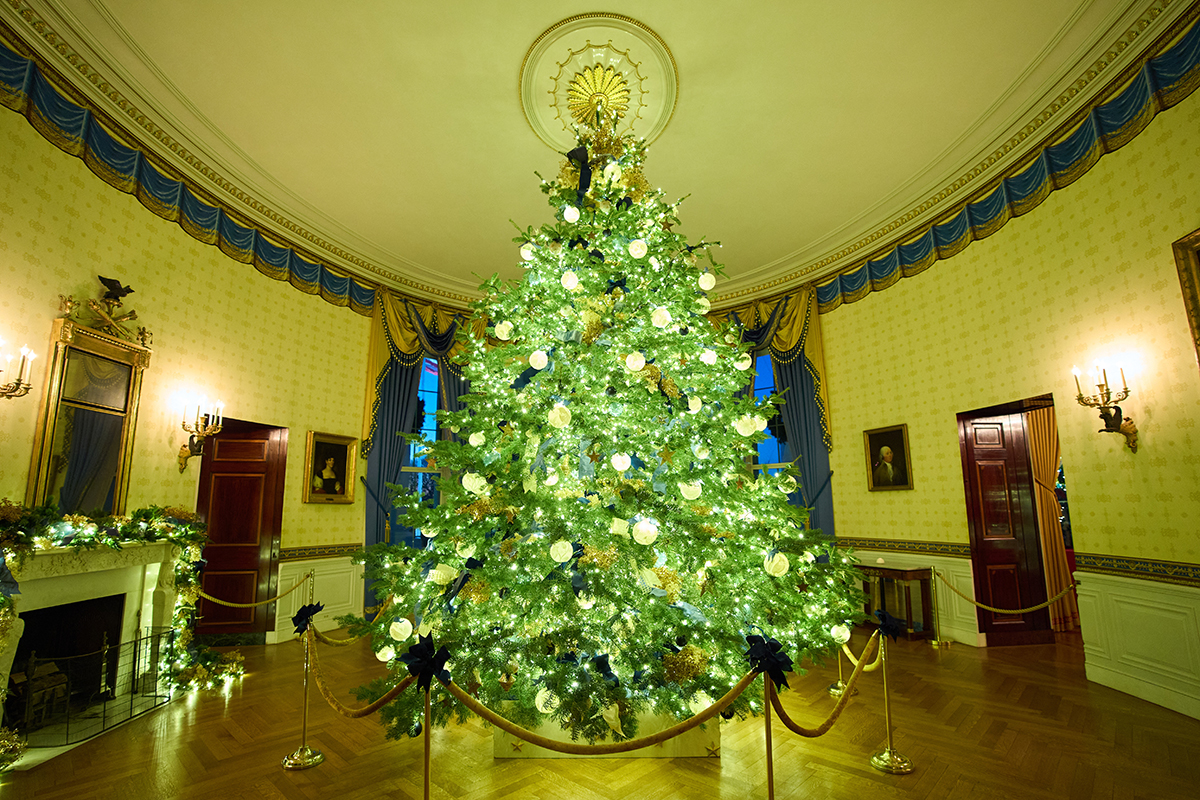 How a Michigan Christmas tree landed in the White House with Melania ...